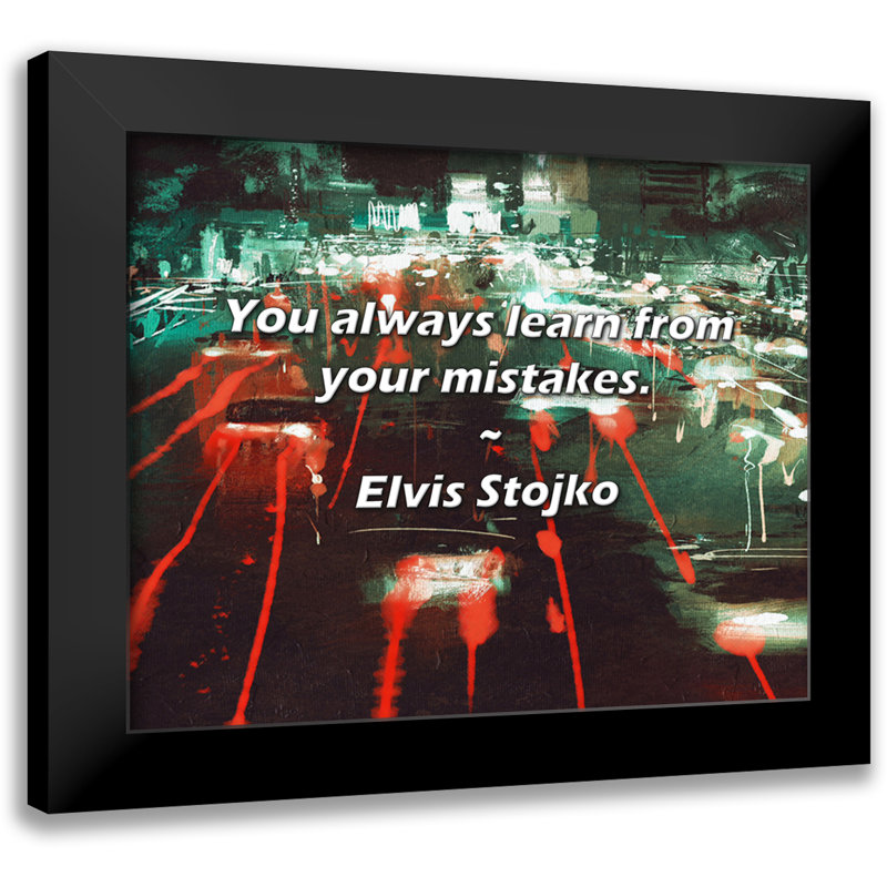 Trinx Elvis Stojko Quote: You always learn from your mistakes. | Wayfair